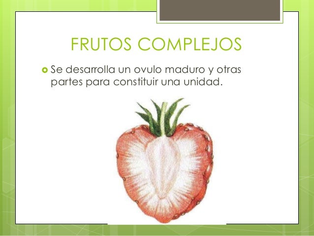 EL MARAVILLOSO MUNDO DE LAS PLANTAS: 2017