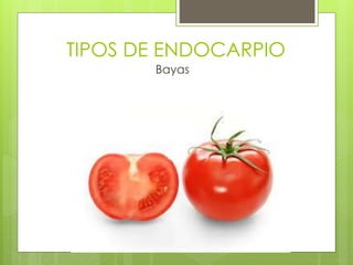 Fruto y la semilla. | PPTX