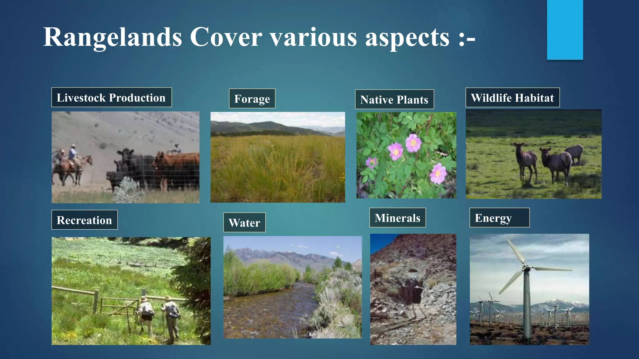 Rangelands and its importance and economic share in pakistan economy | PPTX