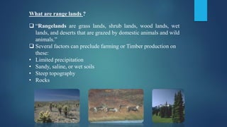 Rangelands and its importance and economic share in pakistan economy | PPTX
