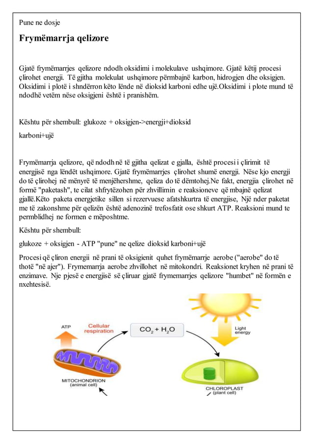 Frymarrja qelizore | DOC