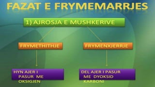 Frymekembimi.pptx