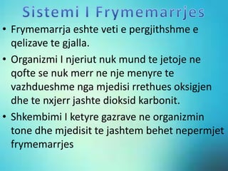 Biologji - Frymemarrja | PPTX