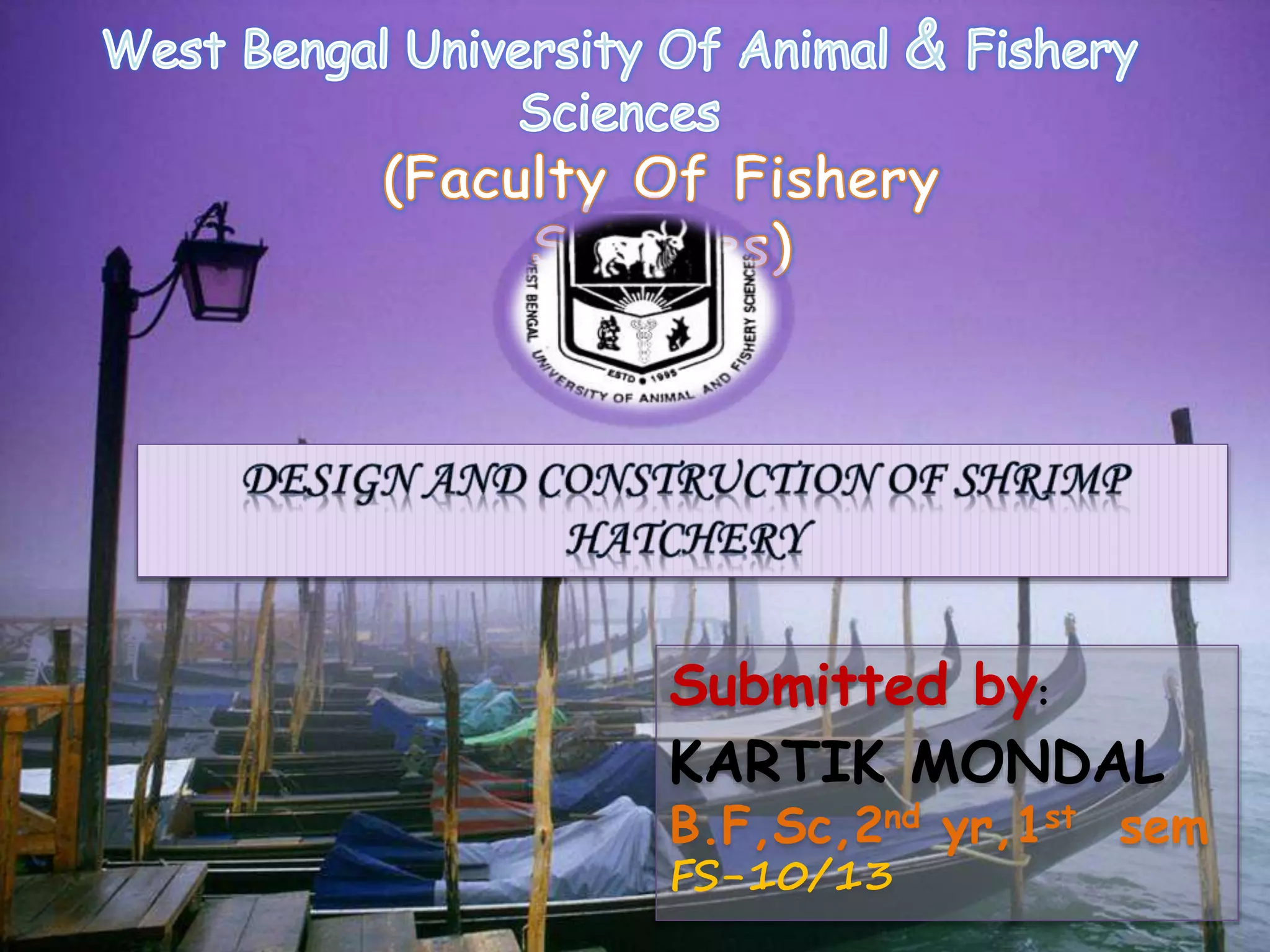 DESIGN AND CONSTRUCTION OF SHRIMP HATCHERY | PPTX