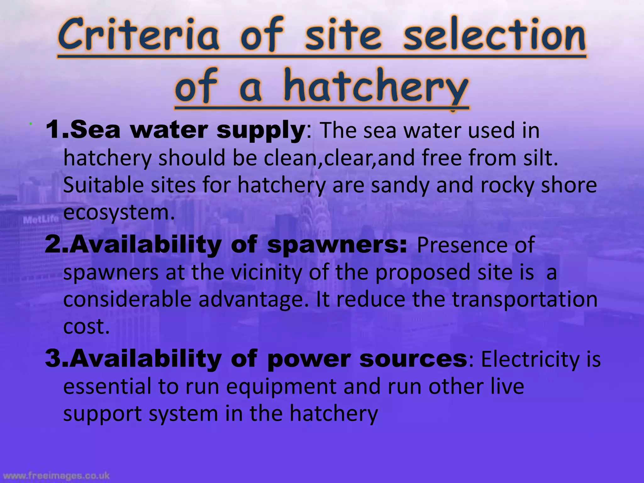 DESIGN AND CONSTRUCTION OF SHRIMP HATCHERY | PPTX