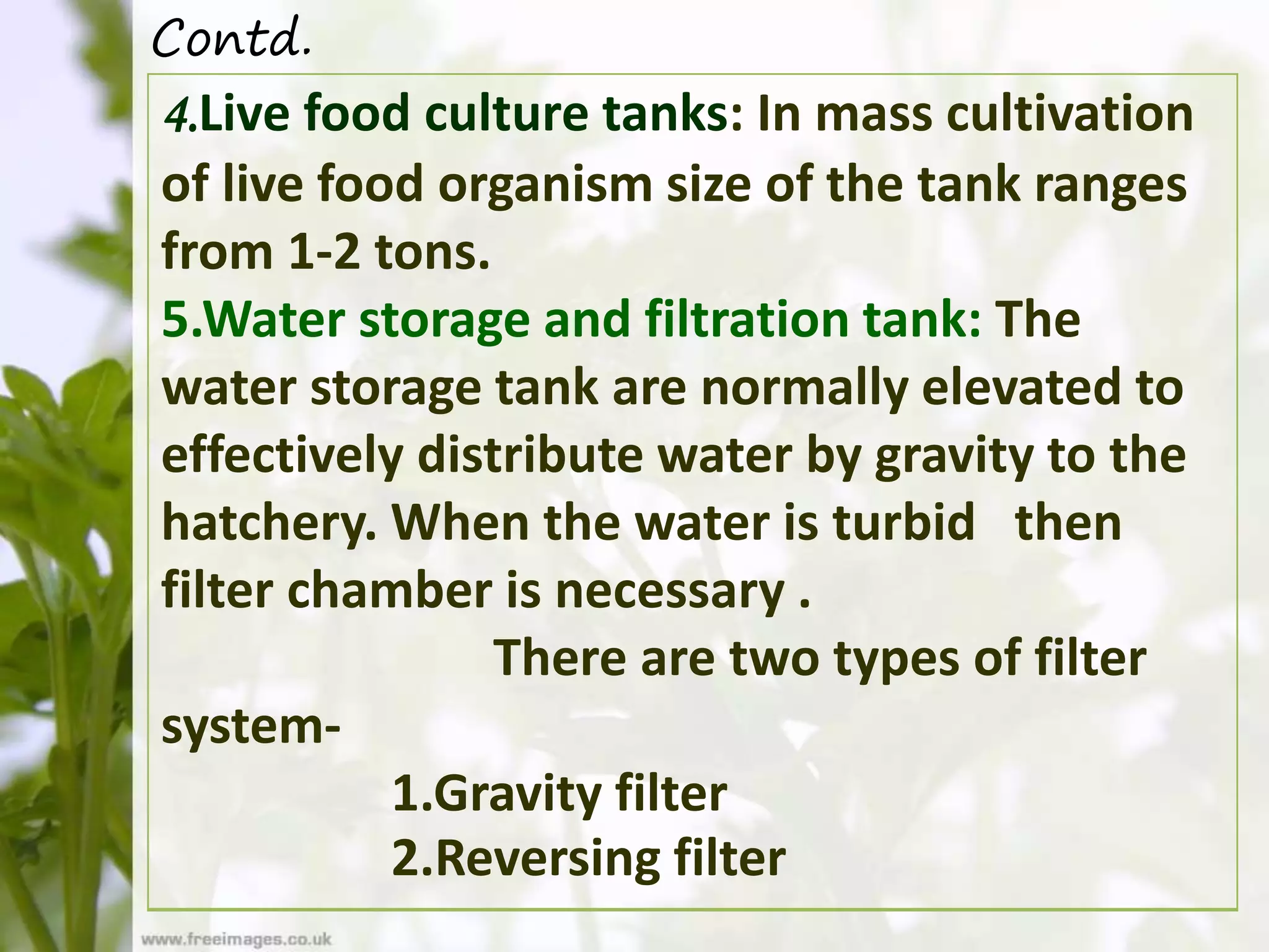 DESIGN AND CONSTRUCTION OF SHRIMP HATCHERY | PPTX
