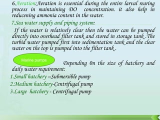 DESIGN AND CONSTRUCTION OF SHRIMP HATCHERY | PPTX