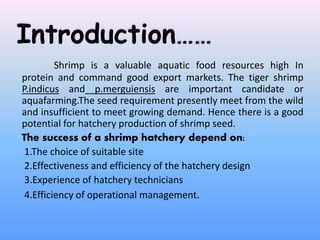 Shrimp Hatchery Design