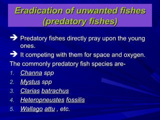 Pre-stocking management of nursery pond for IMC | PPT