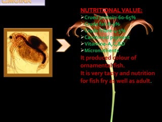 Living Nutritious capsule for fish | PPT
