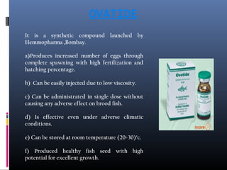 A SEMINAR ON INDUCING AGENTS OF HYPOPHYSATION | PPT