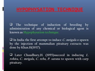 A SEMINAR ON INDUCING AGENTS OF HYPOPHYSATION | PPT