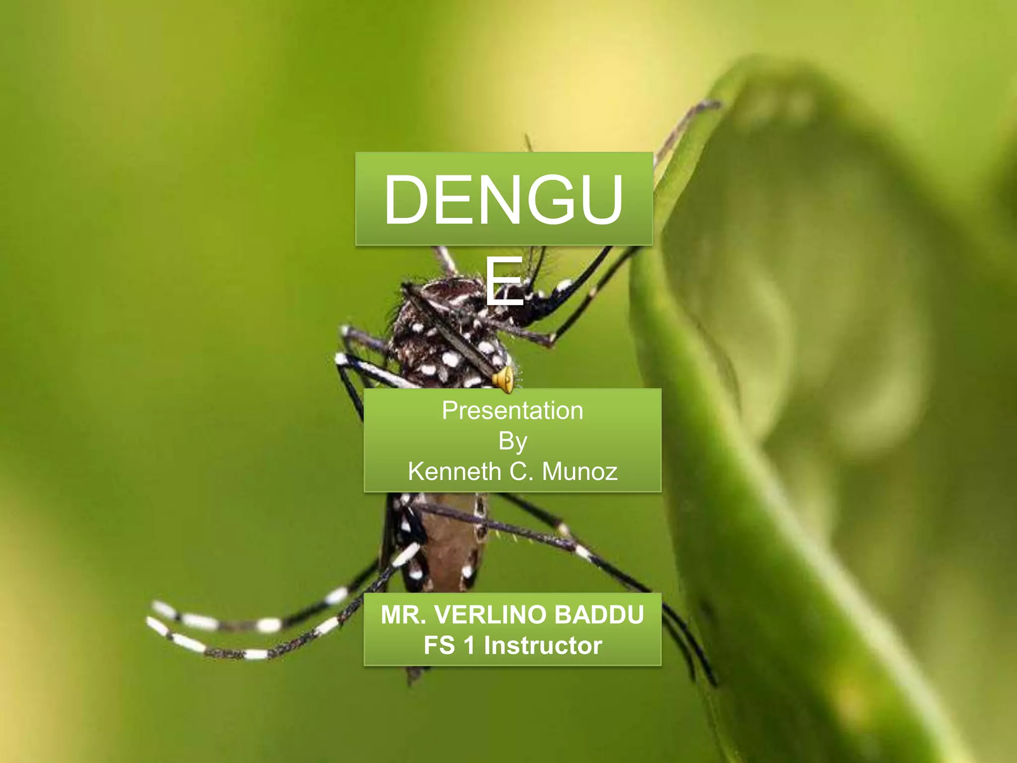 Dengue ppt | PPTX