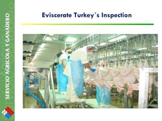 Food Safety- Chile | PPT