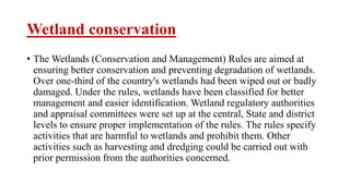 LAWS RELATED TO INLAND FISHERY | PPTX