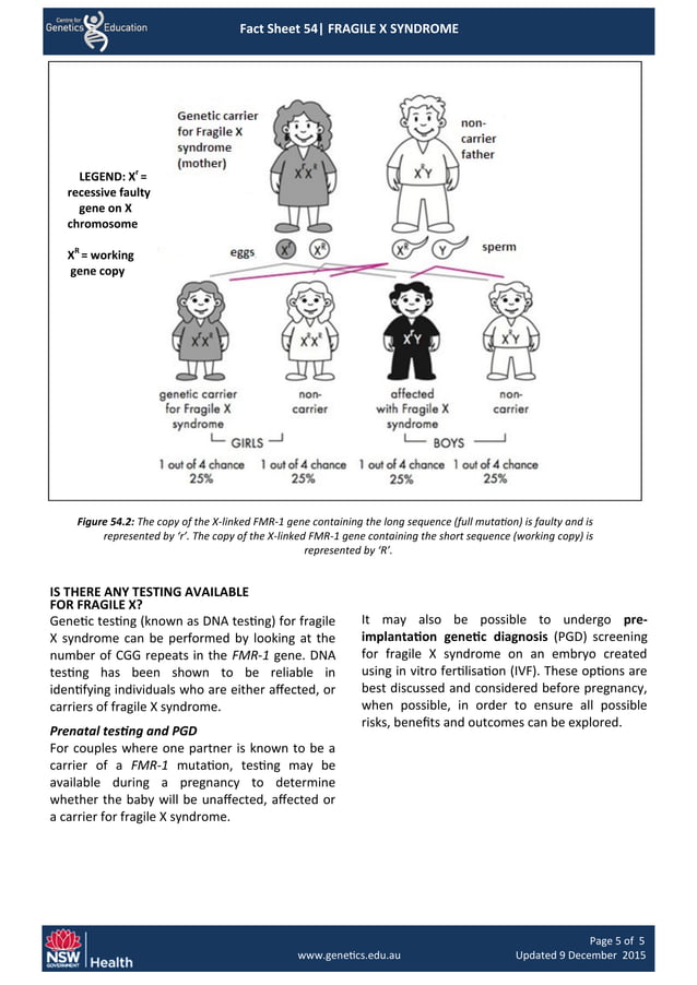 Fs54 fragile x syndrome..inheritance | PDF | Reproductive Health | Diseases and Conditions