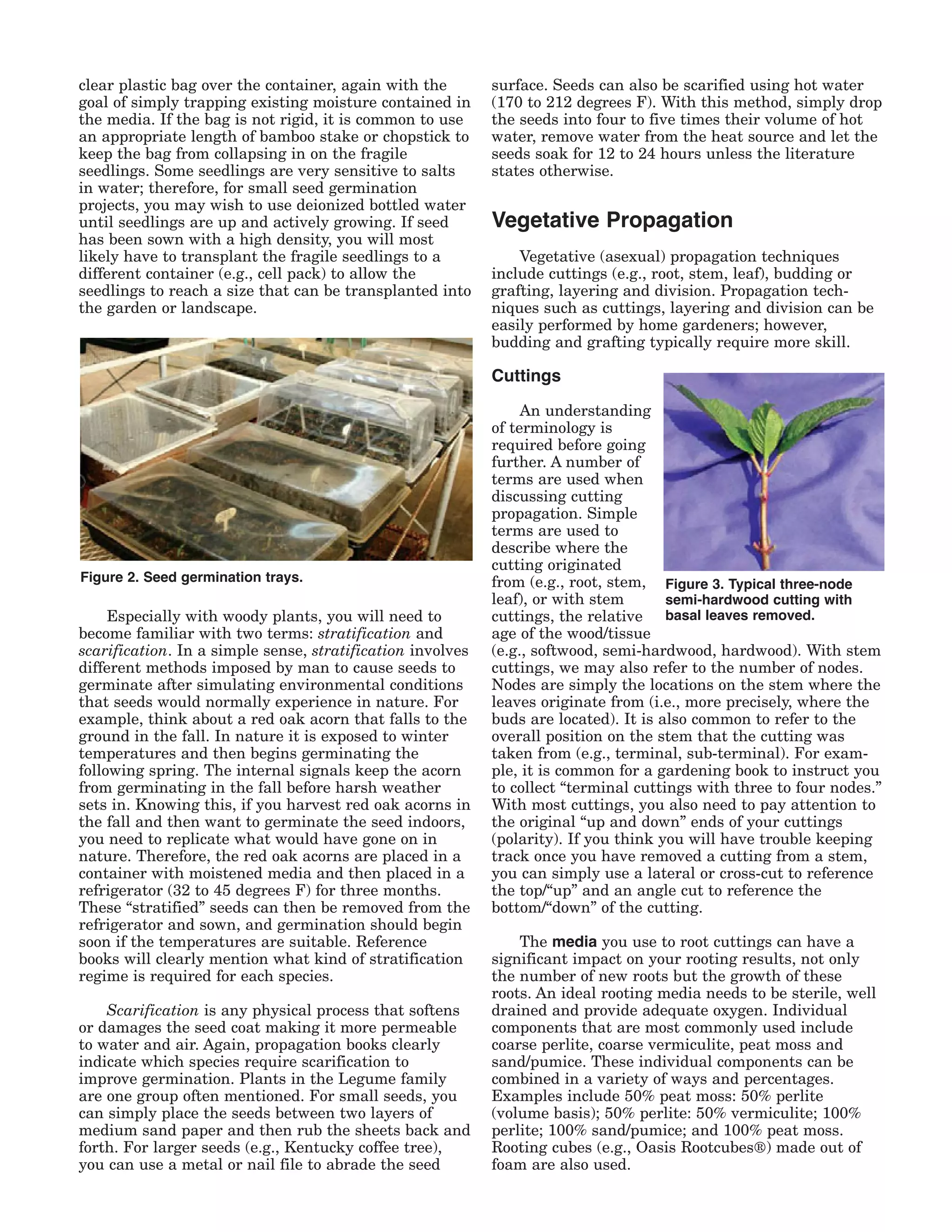 Plant Propagation for Home Gardeners | PDF