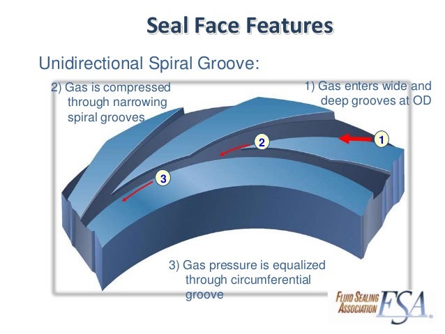 FSA Knowledge Series -- Gas Seal (demo)