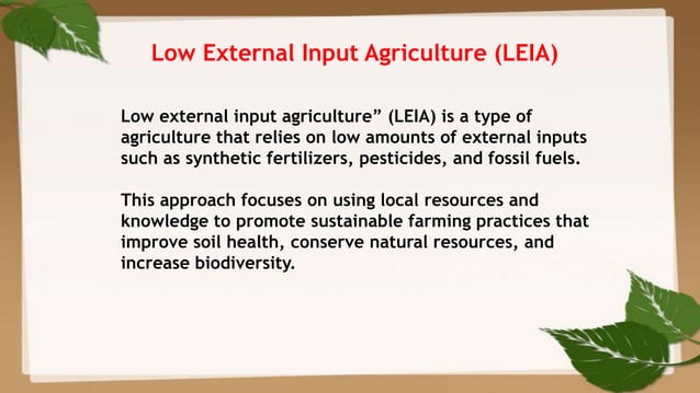 HEIA LEIA AND LEISA | PPTX