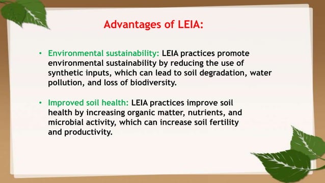 HEIA LEIA AND LEISA | PPTX