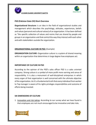 Financial Statement Analysis of PSO | PDF