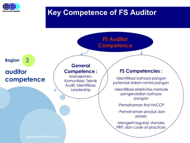Fs auditor in indonesia | PPT