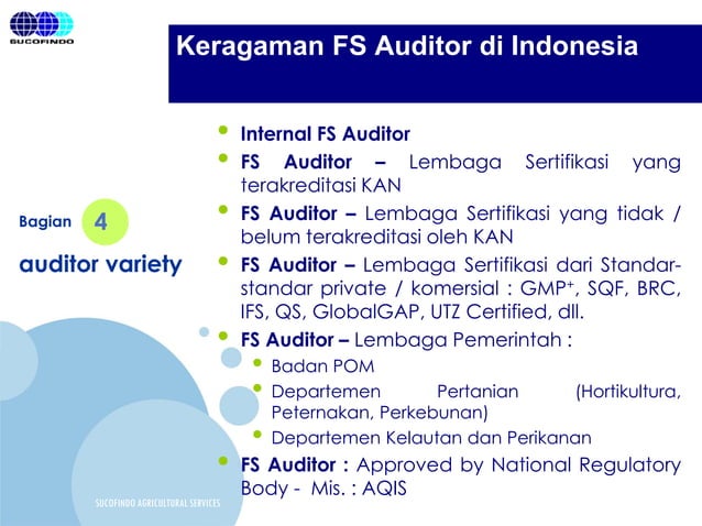 Fs auditor in indonesia | PPT