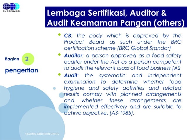 Fs auditor in indonesia | PPT