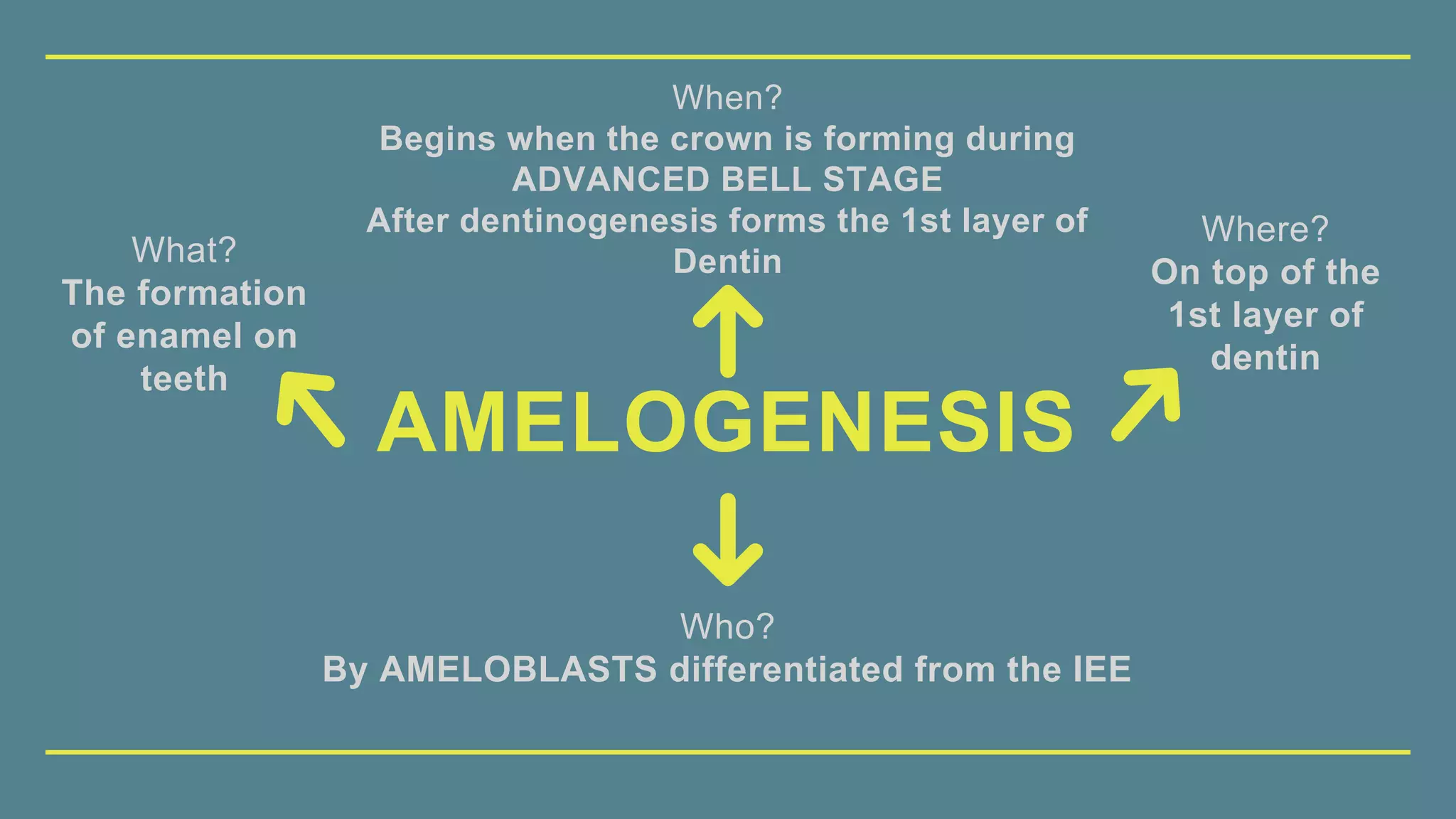 Formative stage of amelogenesis | PPTX | Dental Health | Diseases and ...