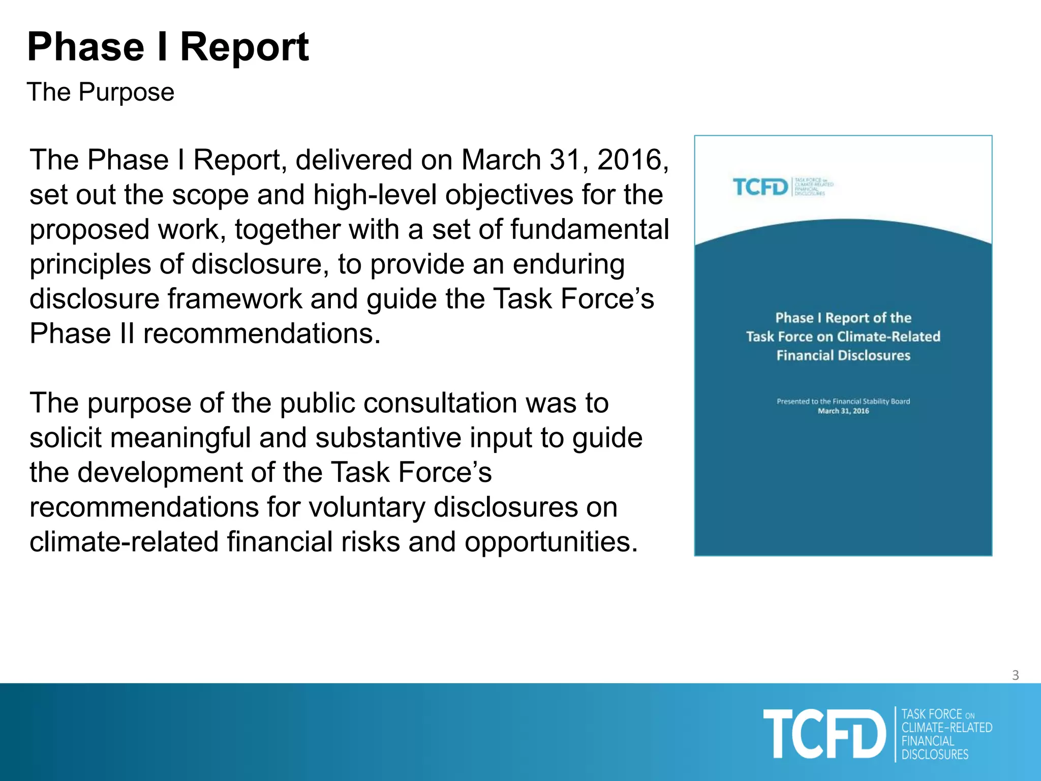 FSB TCFD Phase I Public Consultation Outcomes | PDF