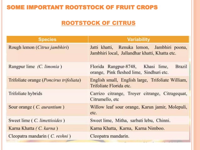 Rootstock scion and Interstock Relationship Selection of Elite Mother ...