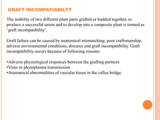 Rootstock scion and Interstock Relationship Selection of Elite Mother ...