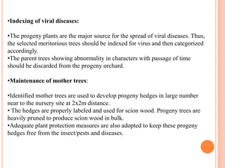 Rootstock scion and Interstock Relationship Selection of Elite Mother ...