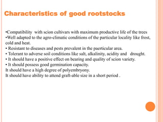 Rootstock scion and Interstock Relationship Selection of Elite Mother ...