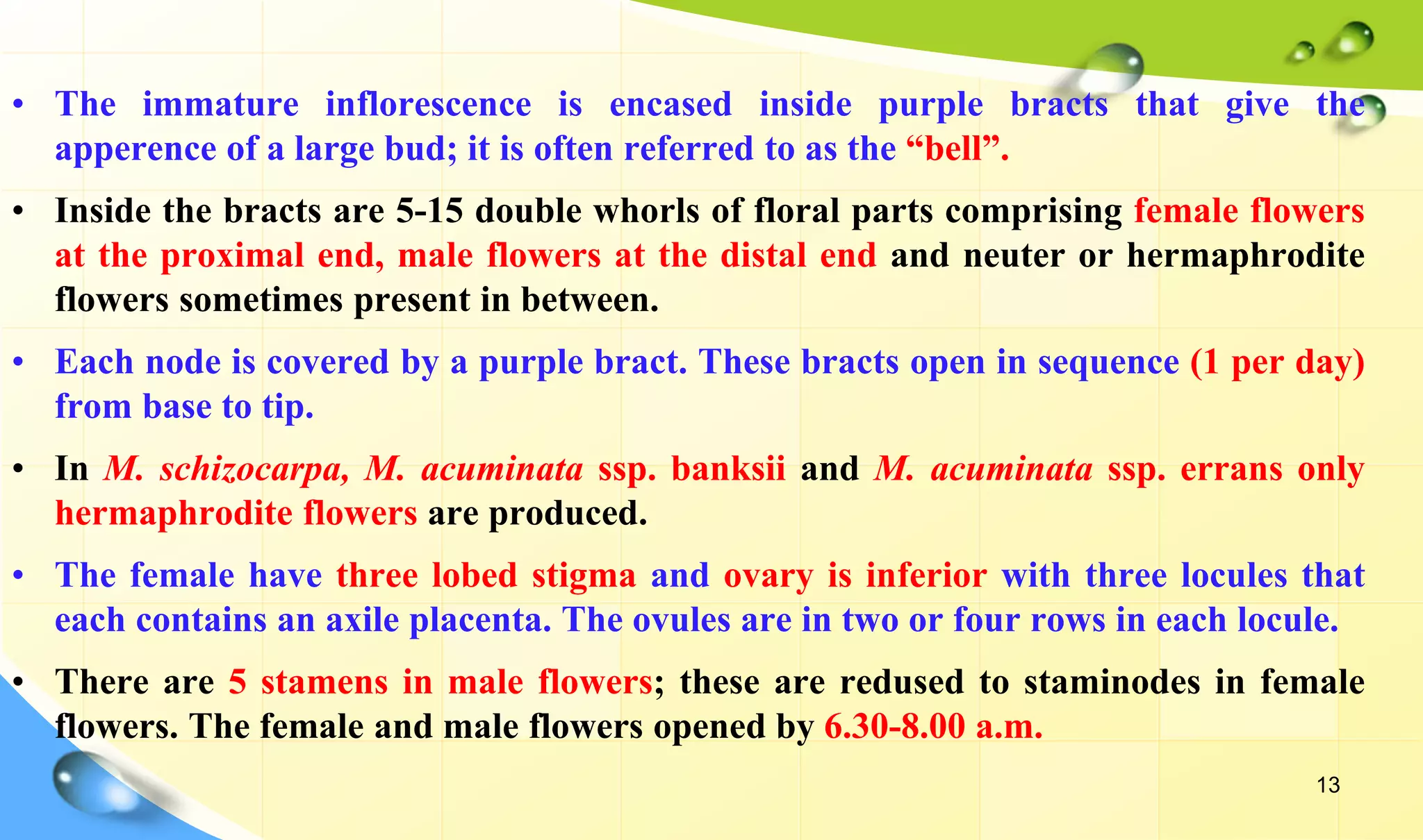 physiology of flowering in tropical and dry land fruit crop | PPTX