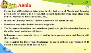 physiology of flowering in tropical and dry land fruit crop | PPTX