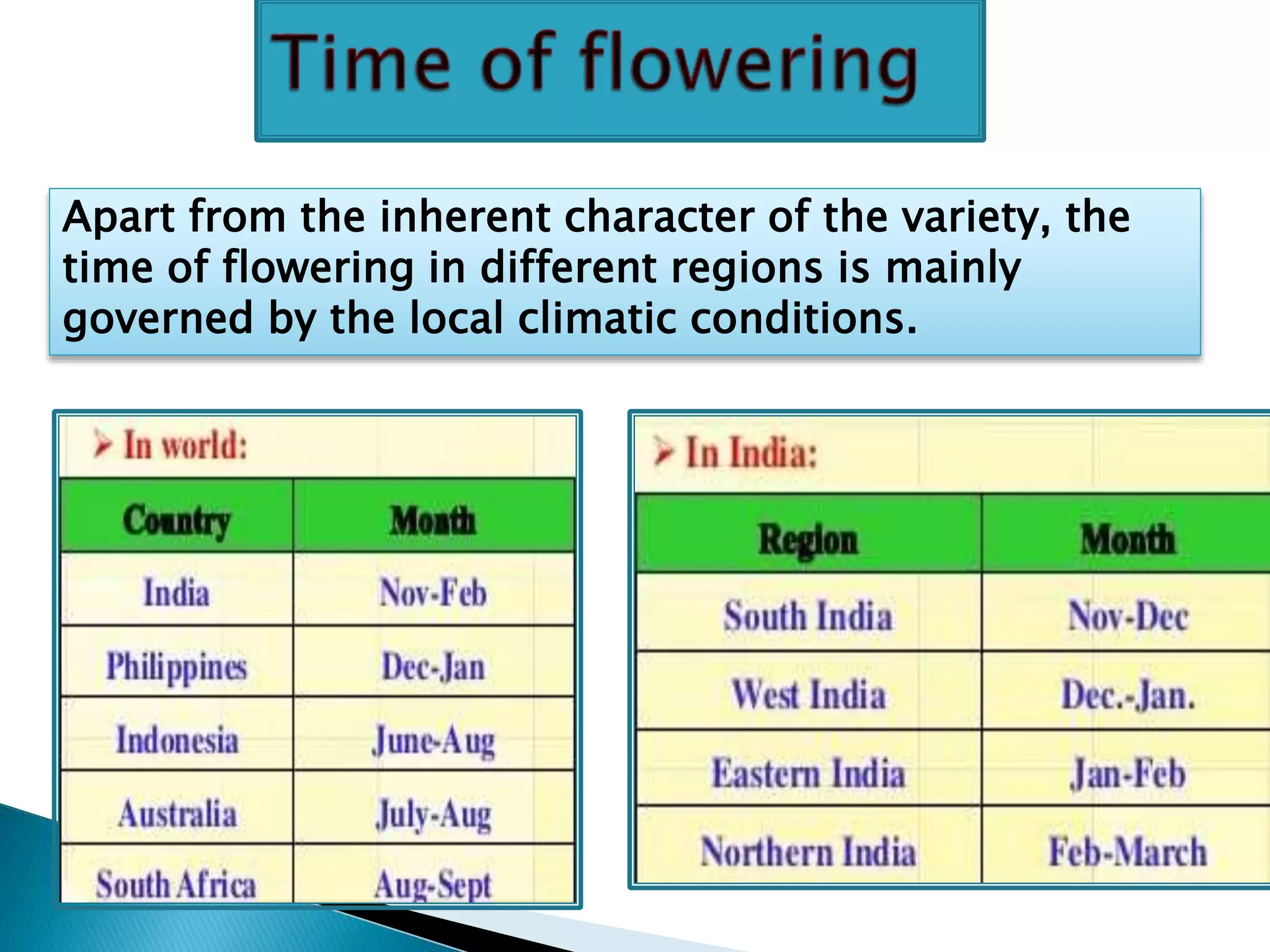 Physiology of flowering and fruiting of important fruit crops | PPTX