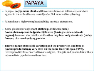 Physiology of flowering and fruiting of important fruit crops | PPTX