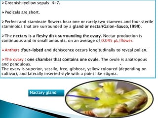 Physiology of flowering and fruiting of important fruit crops | PPTX