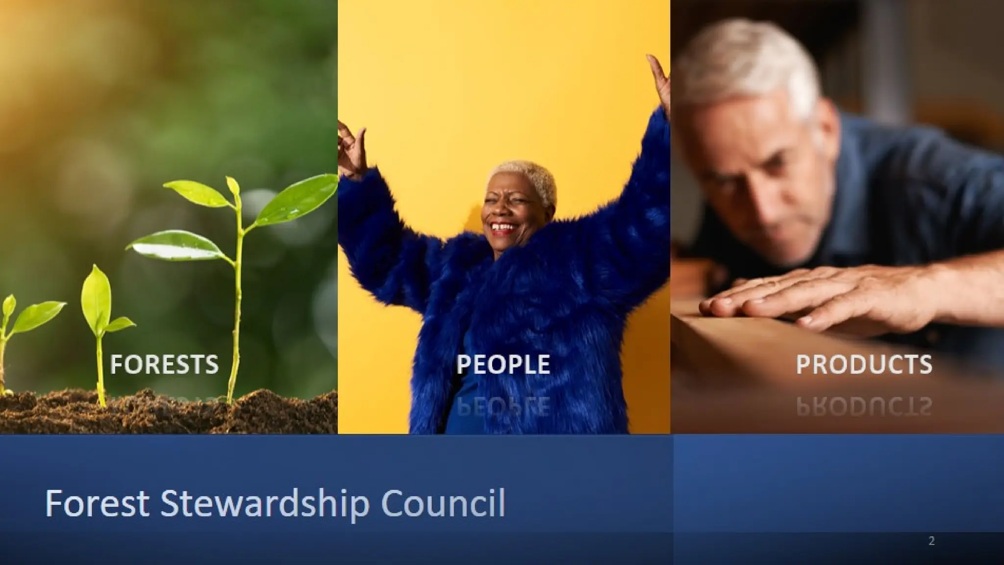 FSC chain of custody management system training | PPTX