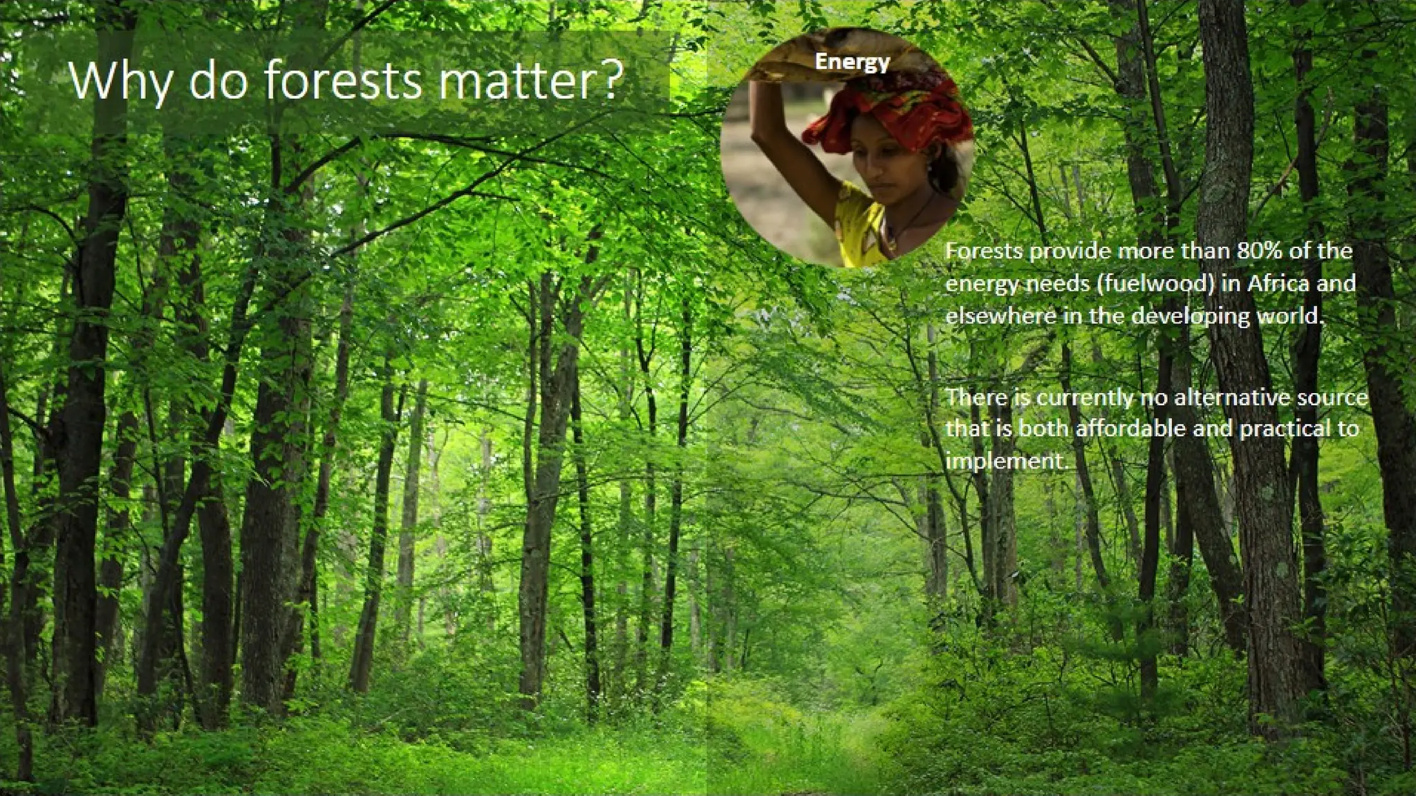 FSC chain of custody management system training | PPTX