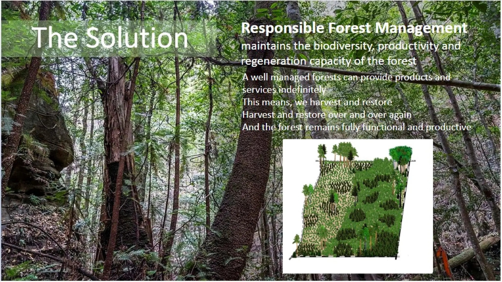 FSC chain of custody management system training | PPTX