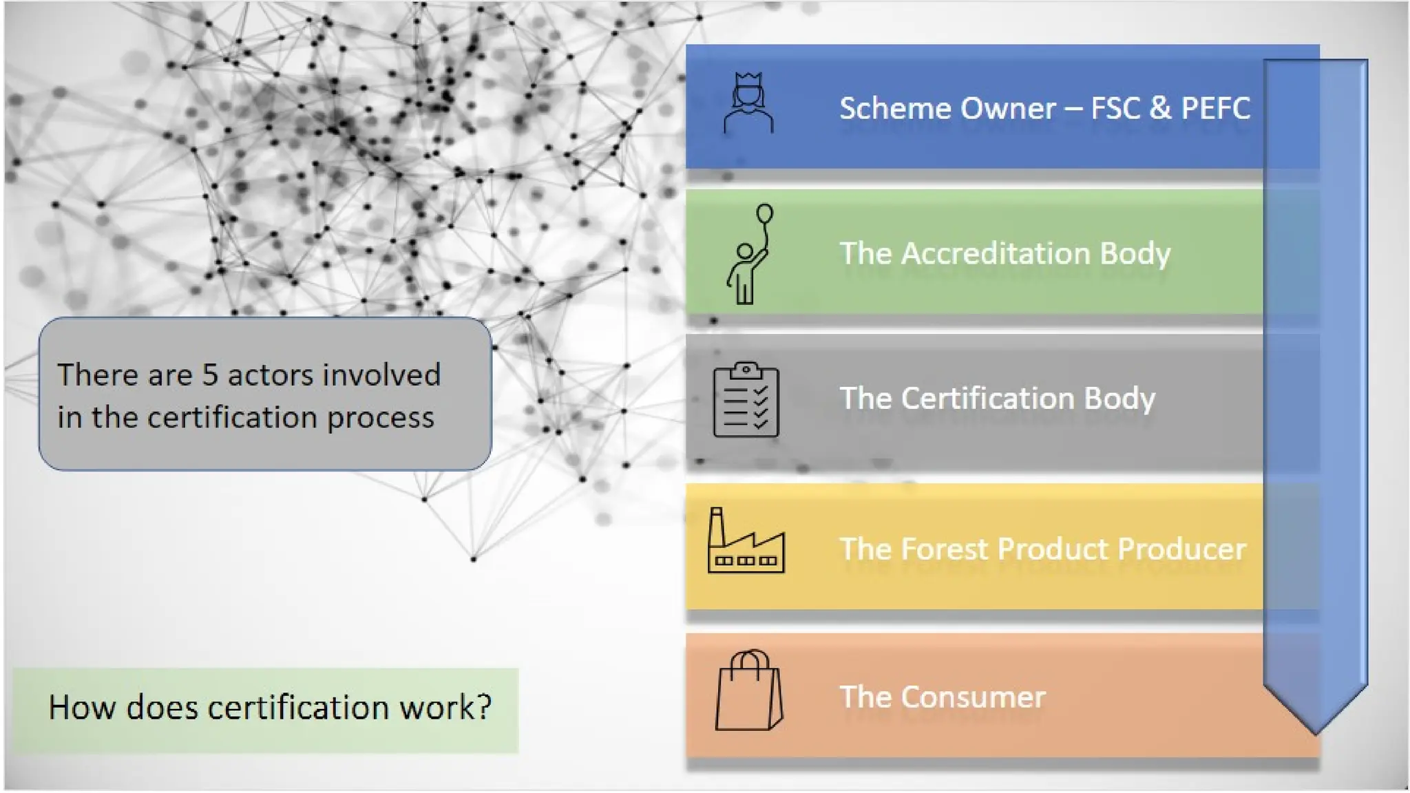 FSC chain of custody management system training | PPTX