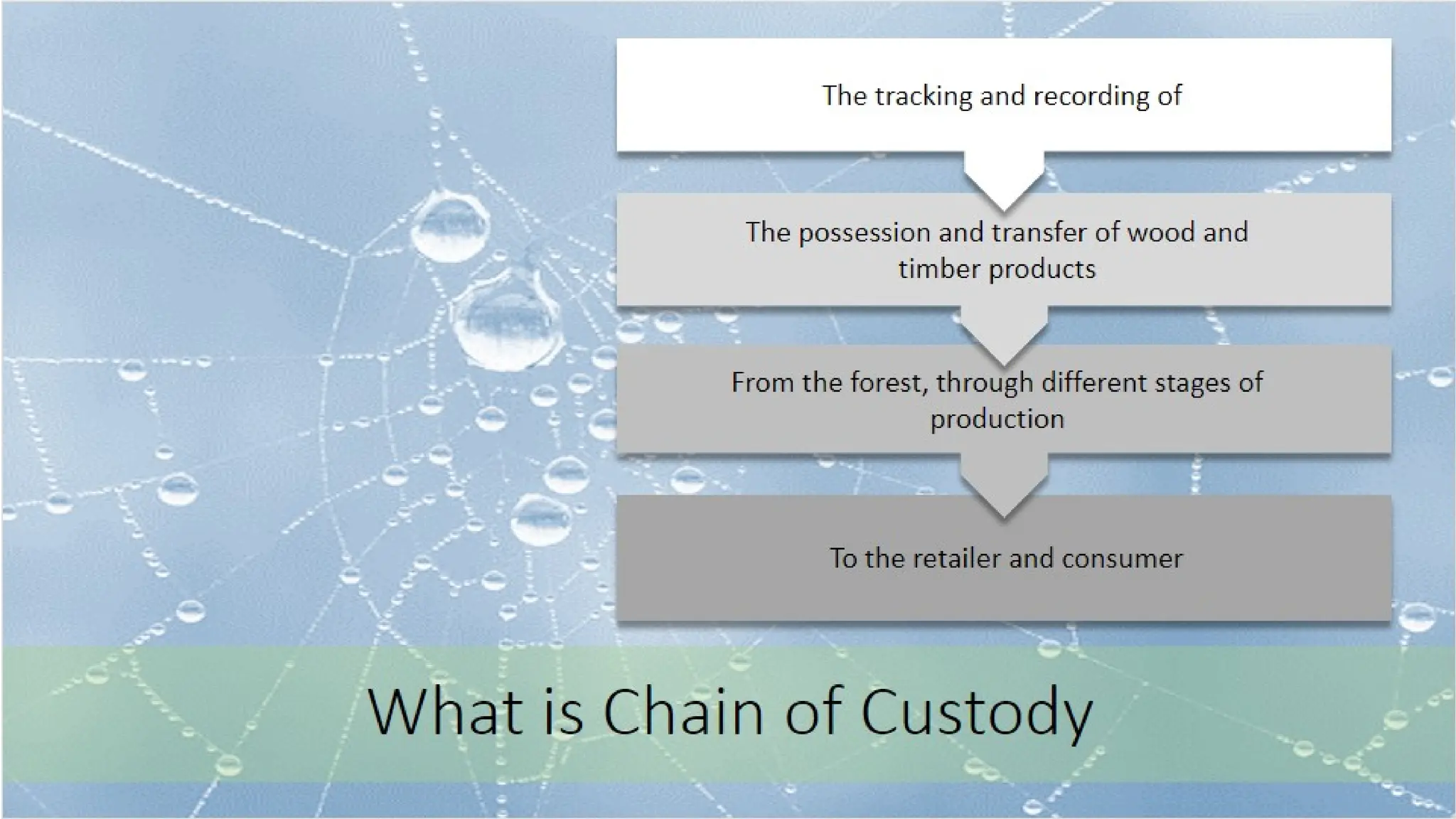FSC chain of custody management system training | PPTX