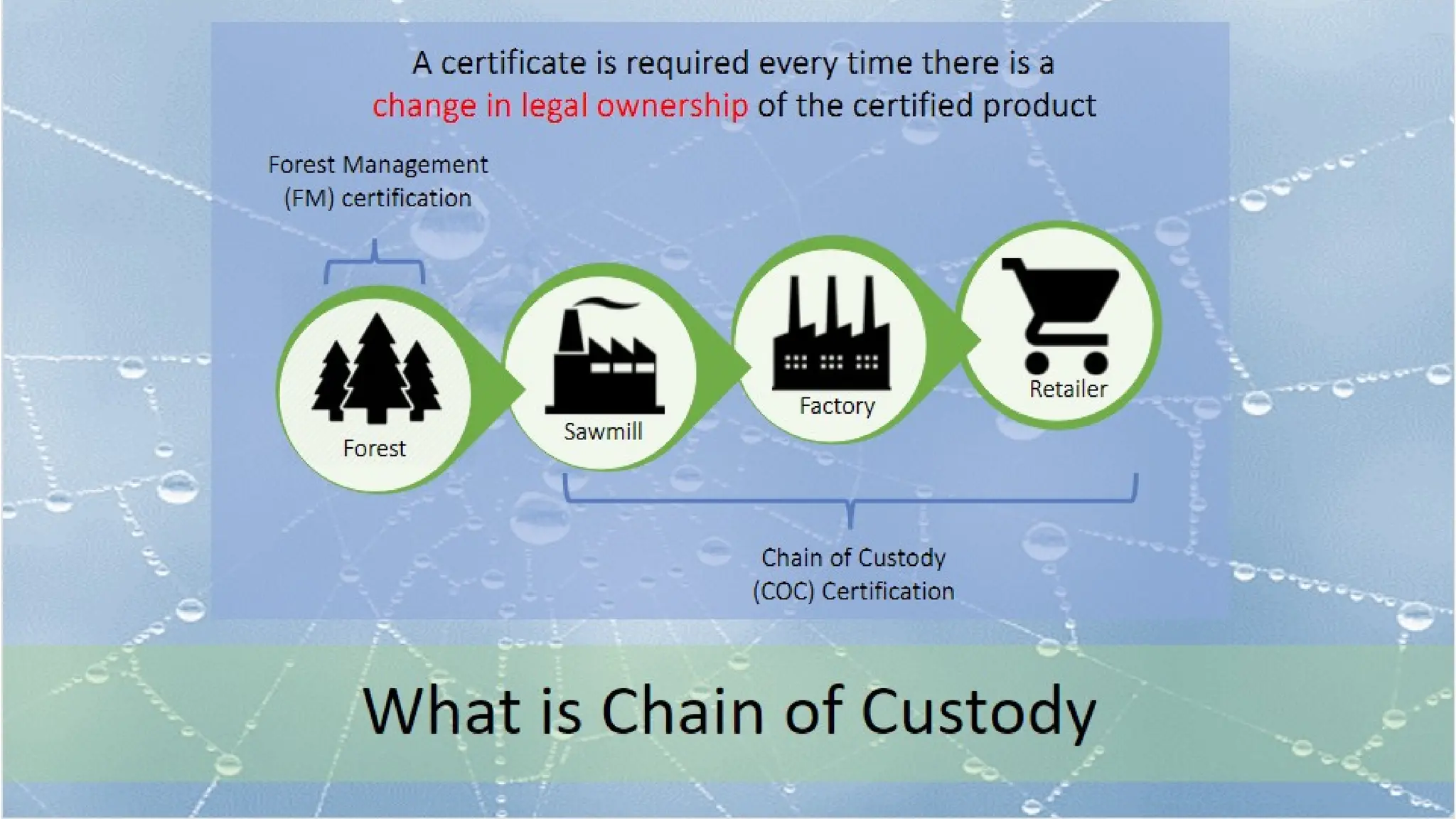 FSC chain of custody management system training | PPTX