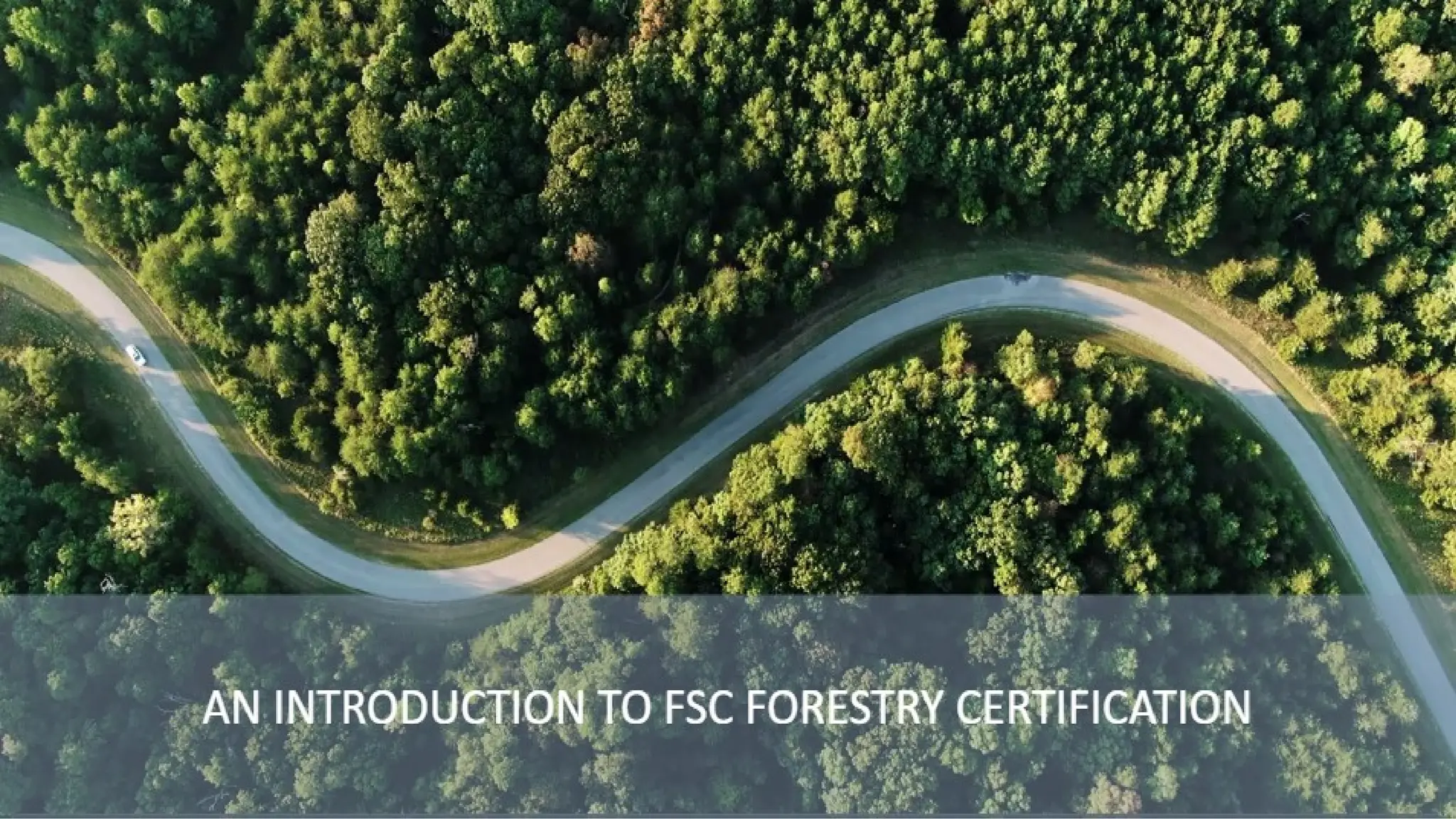FSC chain of custody management system training | PPTX