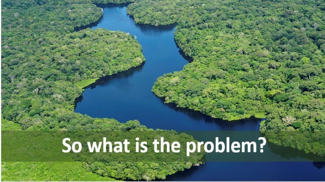 FSC chain of custody management system training | PPTX