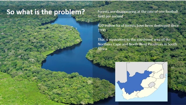 FSC chain of custody management system training | PPTX