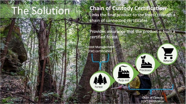 FSC chain of custody management system training | PPTX