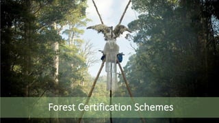 FSC chain of custody management system training | PPTX